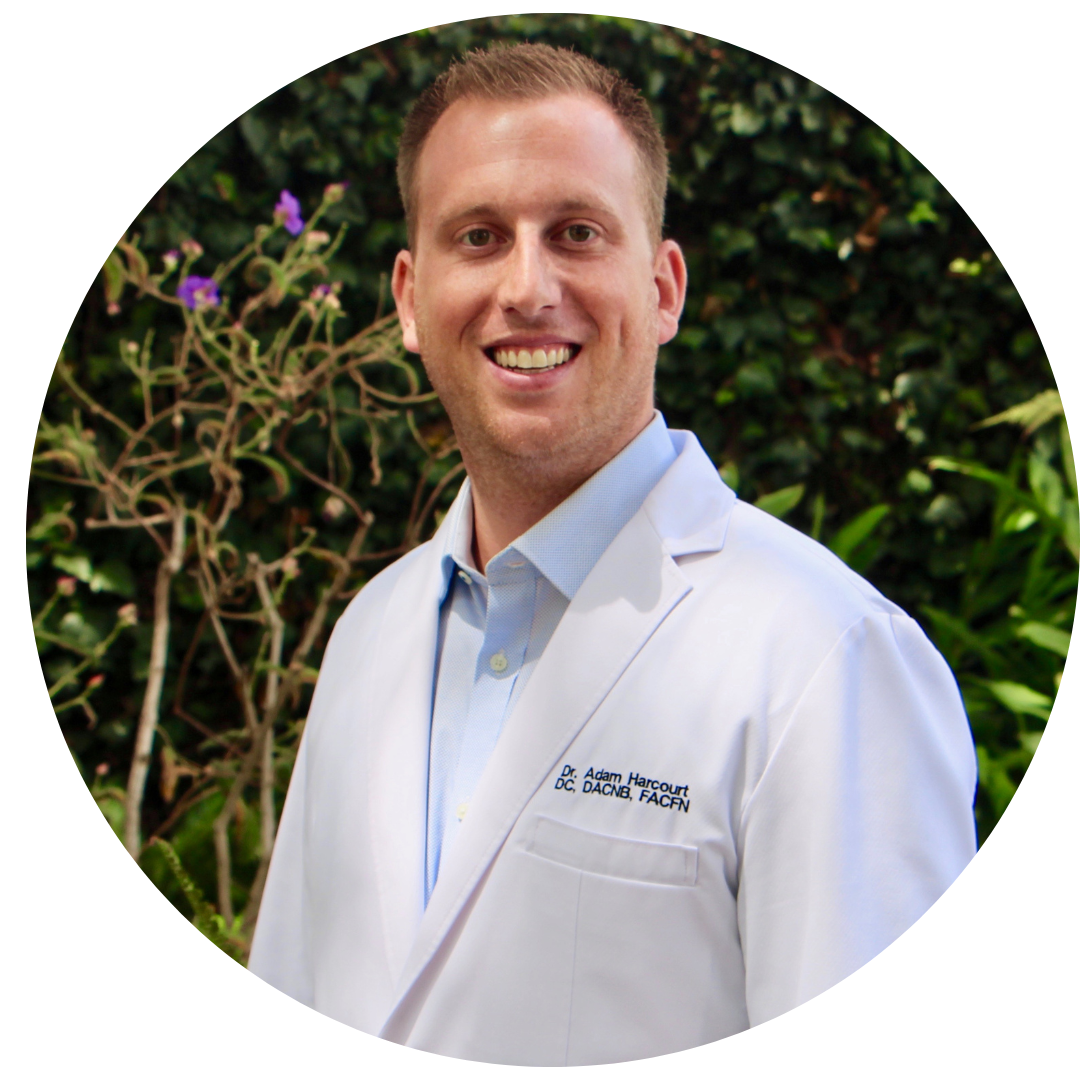 Home - Synapse Sessions